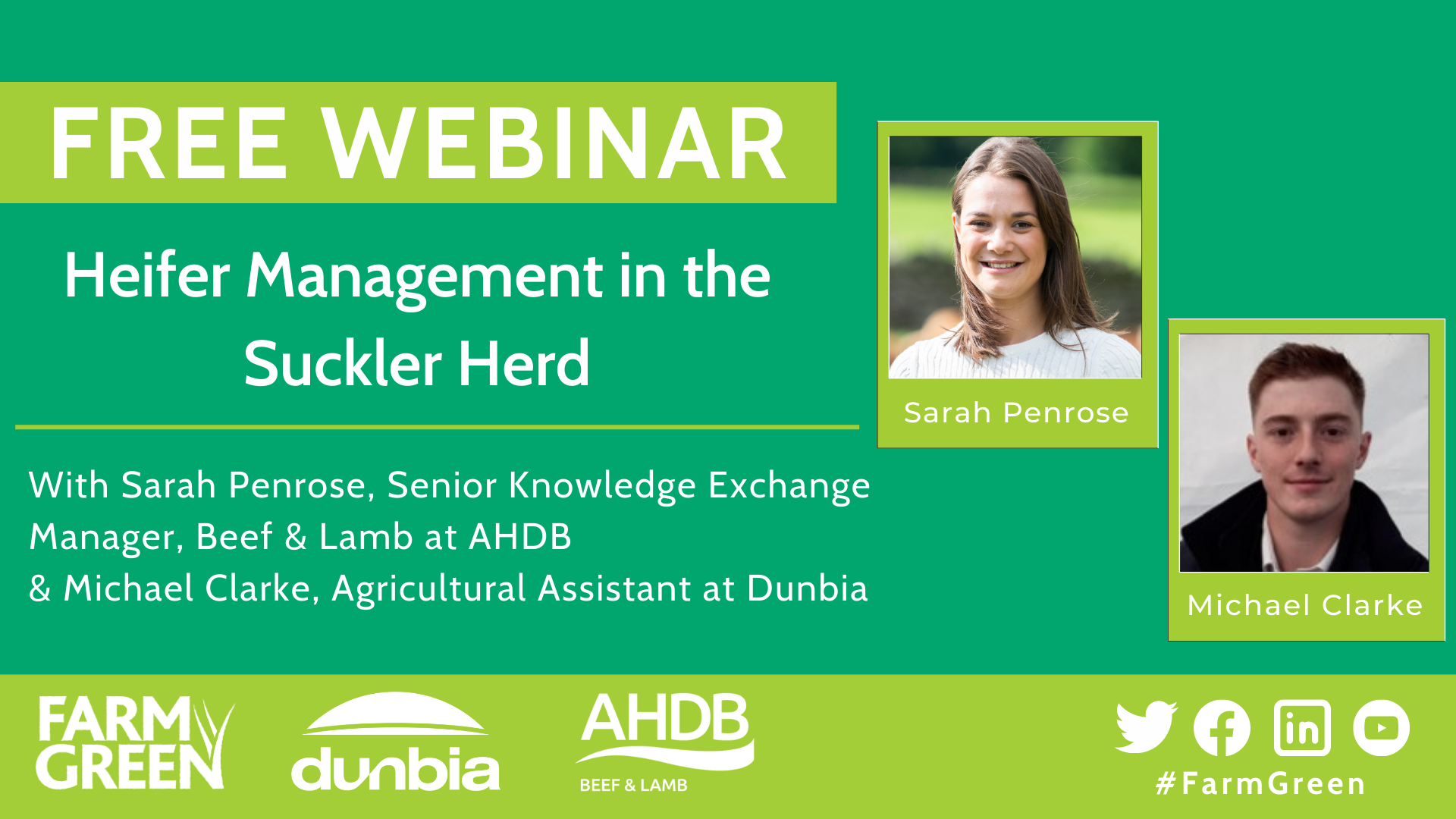 Farm Green Webinar - Heifer Management in the Suckler Herd - Working ...